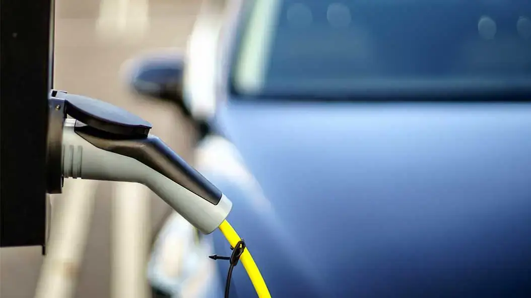 Holtab's knowledge valuable early in the journey | Holtab